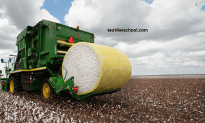 Harvesting/picking of cotton - 3 Methods to Harvest Cotton
