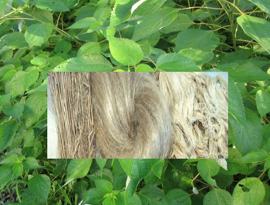 Classification of textile fibres - Man-made/Natural - Textiles School