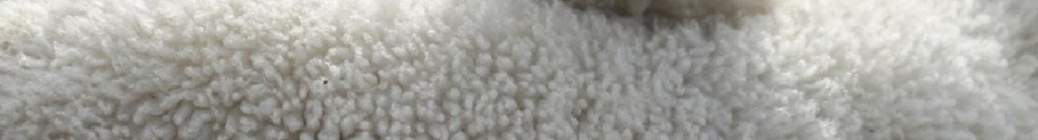 Structure/properties of wool - Physical/Chemical - Textiles School